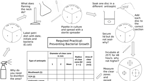 AQA GCSE Biology (9-1) B5.4 Preventing bacterial growth - FULL LESSON ...