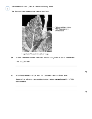AQA GCSE Biology (9-1) B5.8 Diseases caused by fungi and protists ...
