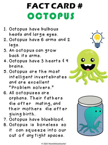 Craft & Writing Activity | Fun Activity : Octopus & Fish | Teaching ...
