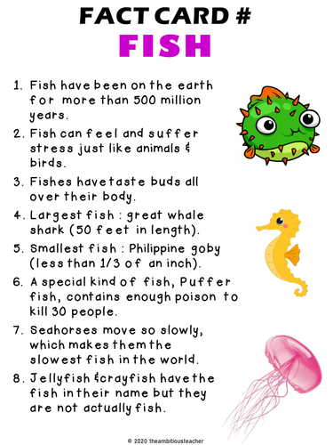 Craft & Writing Activity | Fun Activity : Octopus & Fish | Teaching ...