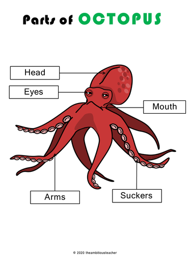Craft & Writing Activity | Fun Activity : Octopus & Fish | Teaching ...