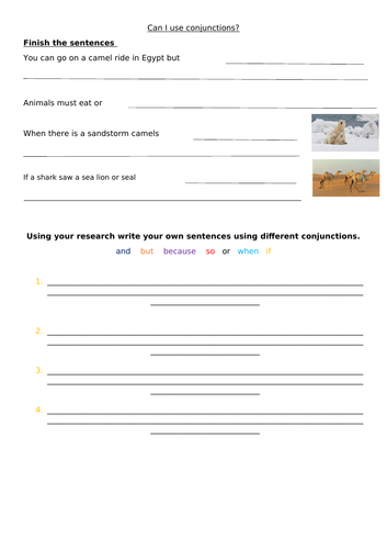 Non-Chronological Reports | Teaching Resources