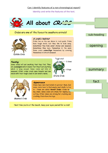 Non-Chronological Reports | Teaching Resources