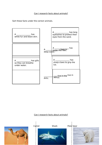 Non-Chronological Reports | Teaching Resources