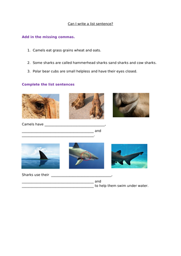 Non-Chronological Reports | Teaching Resources