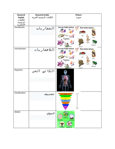 AQA GCSE Biology Keywords Arabic | Teaching Resources