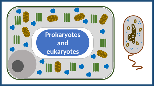 GCSE Biology (AQA) - Prokaryote and eukaryote full lesson. | Teaching ...