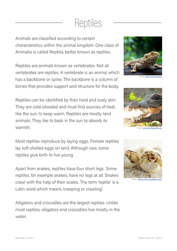 Reptiles - Science and Reading | Teaching Resources