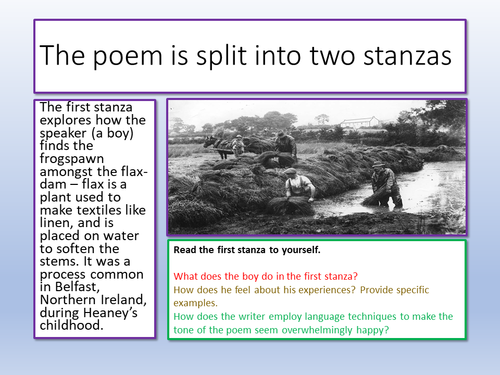 Death of a Naturalist Seamus Heaney | Teaching Resources
