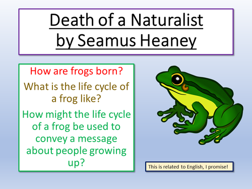 Death of a Naturalist Seamus Heaney | Teaching Resources
