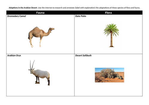 4. What biomes are present in the Middle East? | Teaching Resources