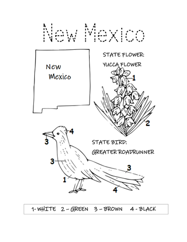 NEW MEXICO STATE BIRD AND FLOWER COLORING PAGE | Teaching Resources