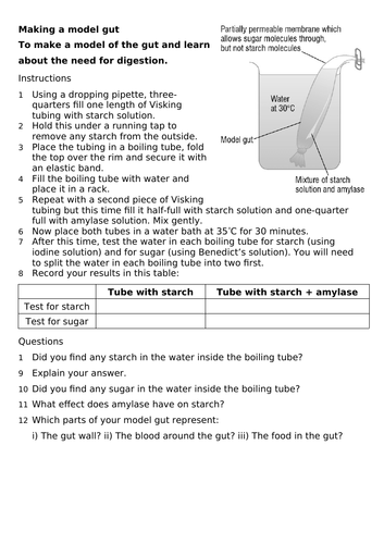 Science investigation worksheets | Teaching Resources