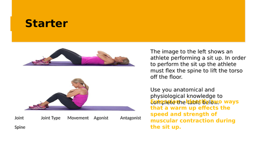 BTEC Sport L3 - Effects of acute exercise on the muscular system ...