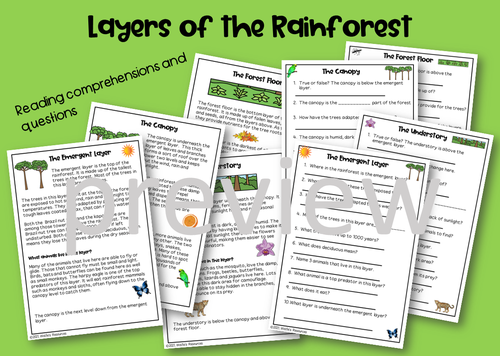 Amazon Rainforest Layers KS2 | Teaching Resources