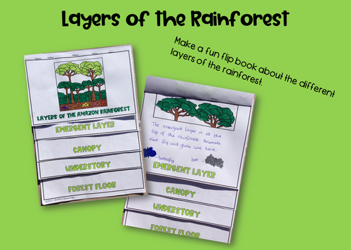 Amazon Rainforest Layers KS2 | Teaching Resources