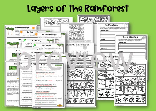 Amazon Rainforest Layers KS2 | Teaching Resources