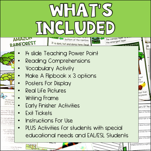 Amazon Rainforest Layers KS2 | Teaching Resources