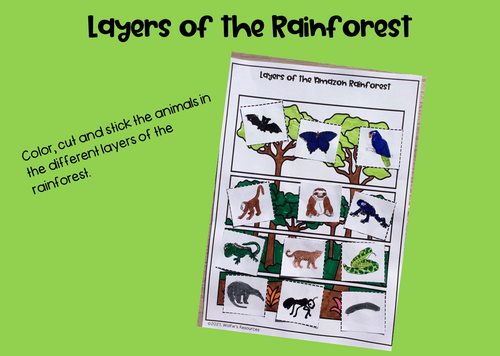 Amazon Rainforest Layers KS2 | Teaching Resources