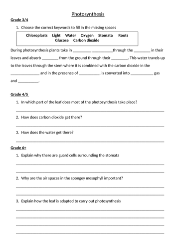 Bioenergetics graded worksheets | Teaching Resources