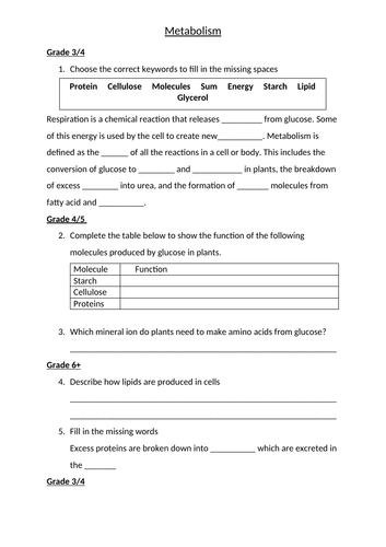 Bioenergetics graded worksheets | Teaching Resources