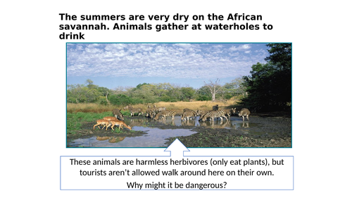 Year 7 Ecosystems Lessons (7D Exploring Science) | Teaching Resources