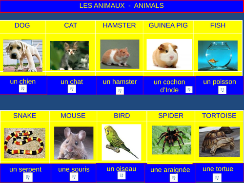 Ultimate french vocab powerpoints | Teaching Resources