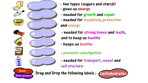 Year 8 Food and digestion lessons (8A Exploring Science) | Teaching ...