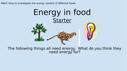 KS3 - Energy in food | Teaching Resources