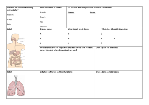 KS3 - The body revision matt | Teaching Resources