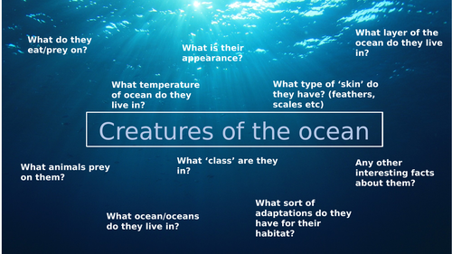Ocean animal factfiles | Teaching Resources