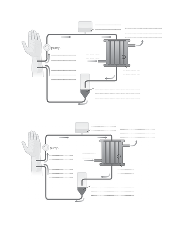GCSE Biology: Kidney function, dialysis & transplants | Teaching Resources