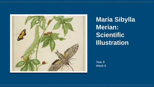Maria Sibylla Merian: Scientific Illustration | Teaching Resources