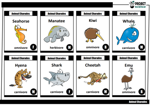 Animal Charades For Kids