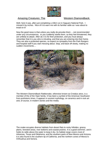 Western Diamondback (snake) | Teaching Resources