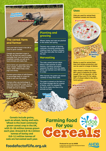 Food and farming: Food Origins | Teaching Resources