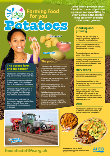 Food and farming: Food Origins | Teaching Resources