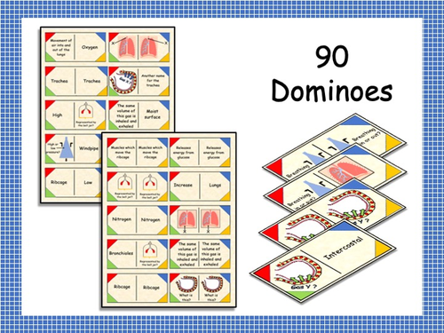 Breathing and the Respiratory System - Dominoes Game KS3 | Teaching ...