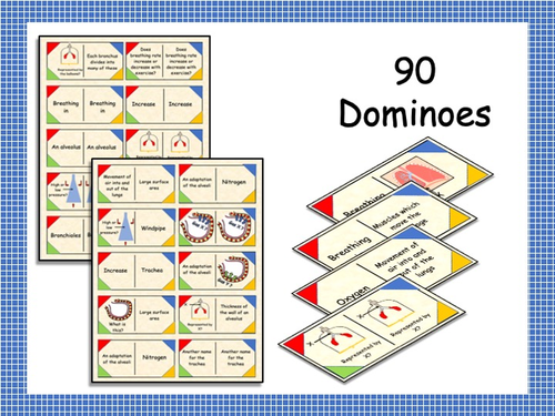 Breathing and the Respiratory System - Dominoes Game KS3 | Teaching ...