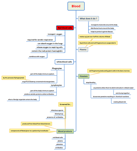 Blood | Teaching Resources