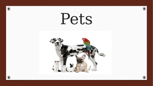Pets EAL Newcomer Activity Pack | Teaching Resources