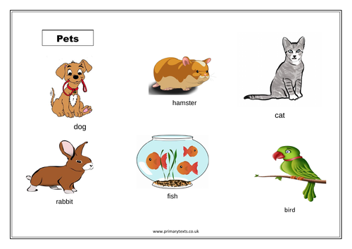 Pets EAL Newcomer Activity Pack | Teaching Resources
