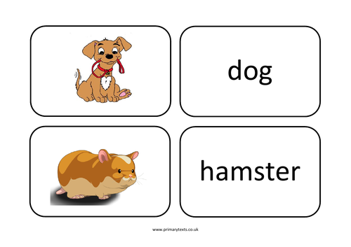 Pets EAL Newcomer Activity Pack | Teaching Resources