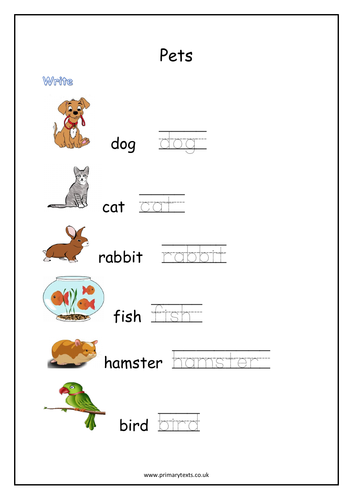 Pets EAL Newcomer Activity Pack | Teaching Resources