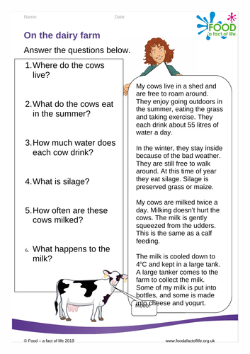 The farm visit- on the dairy farm | Teaching Resources