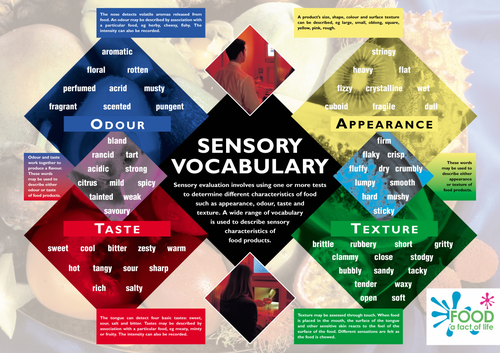 Sensory Evaluation - Sensory Vocabulary Poster | Teaching Resources