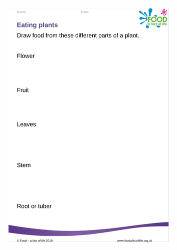Food and Farming- Eating Plants Worksheet | Teaching Resources