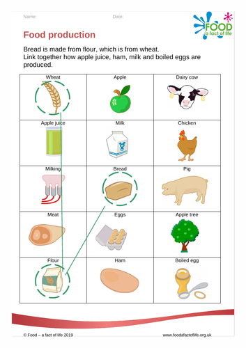 Food Production - Worksheet | Teaching Resources