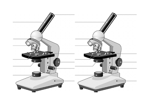 Observing Cells KS3 Activate Science | Teaching Resources