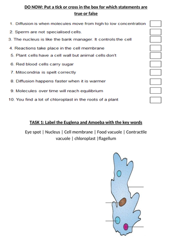Unicellular Organisms KS3 Activate Science | Teaching Resources